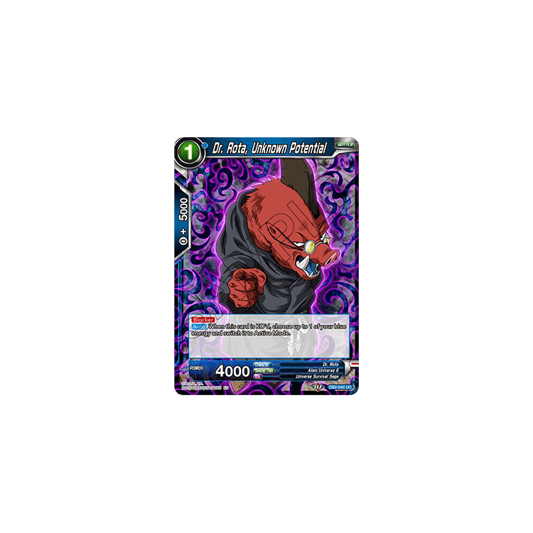 Dr. Rota, Unknown Potential - Big Orbit Cards