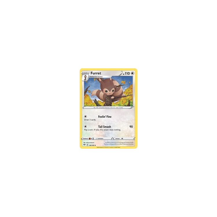 Furret - Darkness Ablaze - Pokemon - Big Orbit Cards