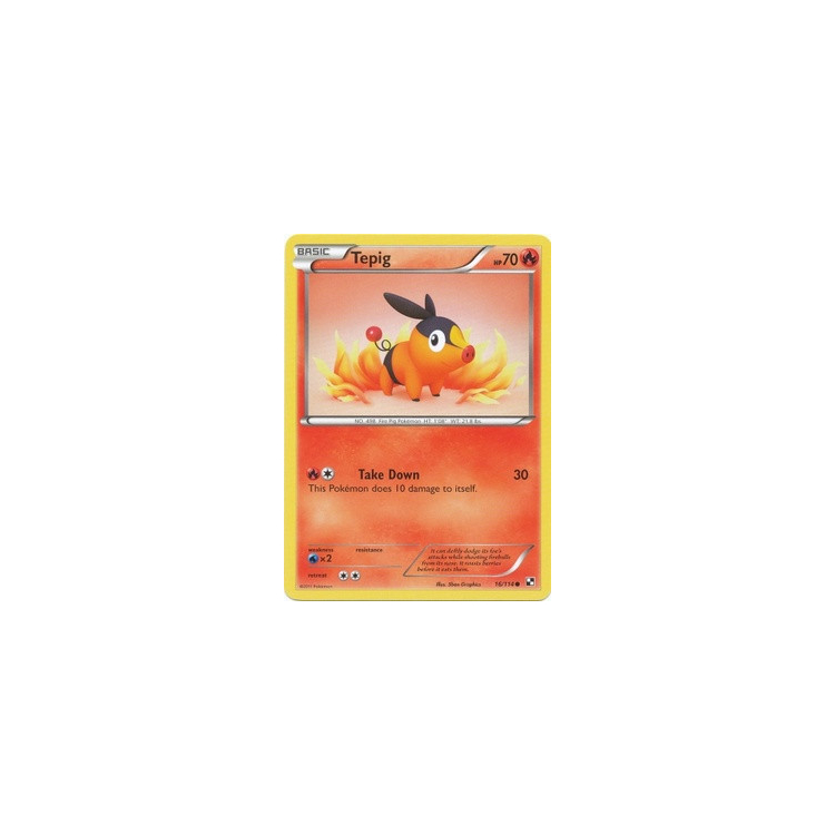 Tepig Card